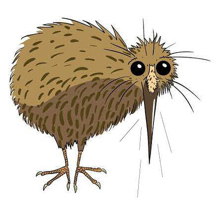 Reukzintuig van vogels. – Werkgroep Amerikaanse Sijzen